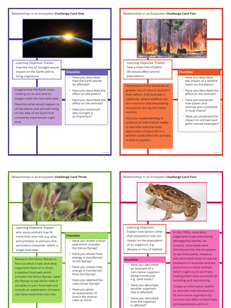 T SC 2550057 Relationships in Ecosystems Challenge Cards Ver 5 | PDF ...