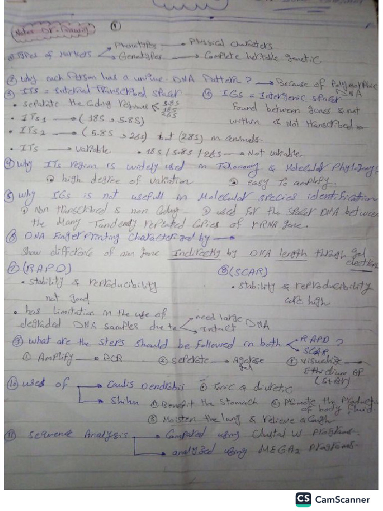 Final Notes | PDF