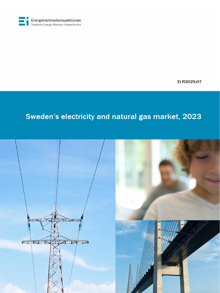 Swedens-electricity-and-natural-gas-market | PDF | Electrical Grid ...