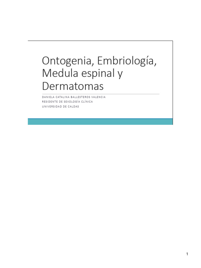 Ontogenia, Embriología, Medula Espinal y Dermatomas | PDF | Neurona ...