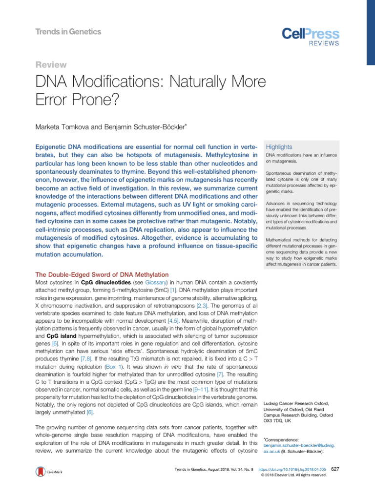 DNA Modifications - Naturally More Error Prone | PDF | Dna Methylation ...