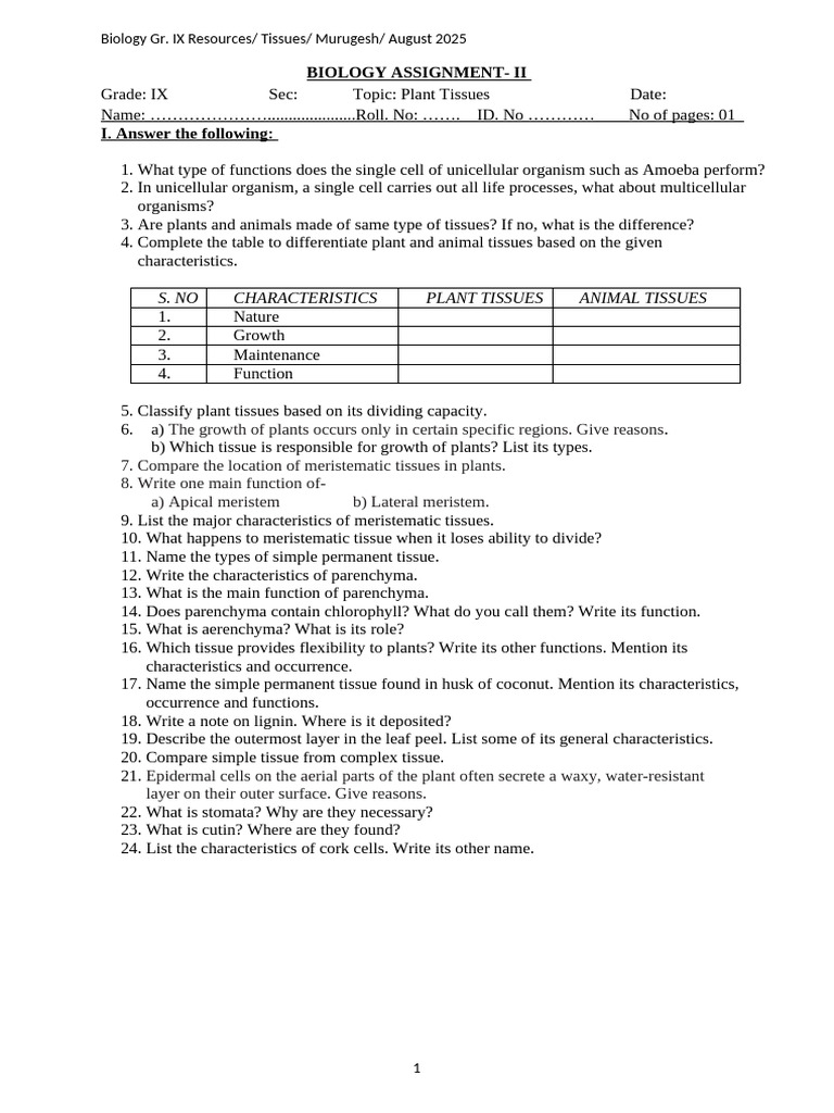 Gr. IX Plant Tissues Assignment | PDF | Tissue (Biology) | Morphology ...