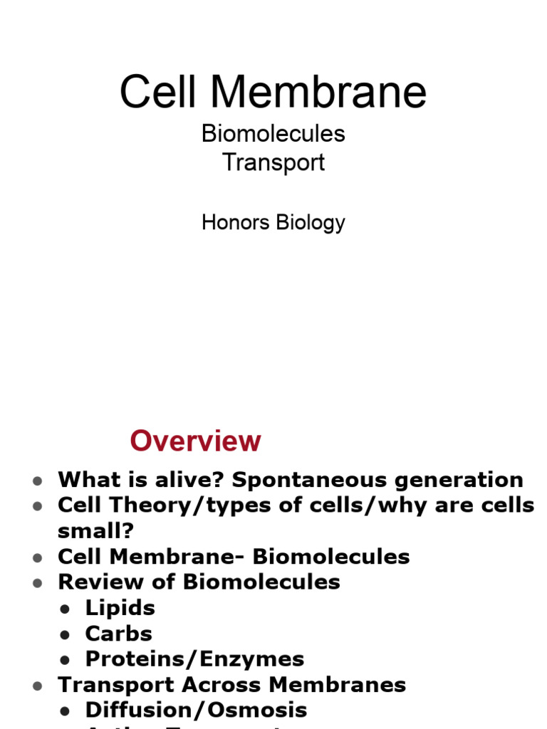 H Bio Biomolecules Cells Transport 2024 25 | PDF | Cell (Biology ...