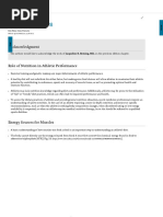 Energy Systems in Basketball Performance | PDF | Cellular Respiration ...