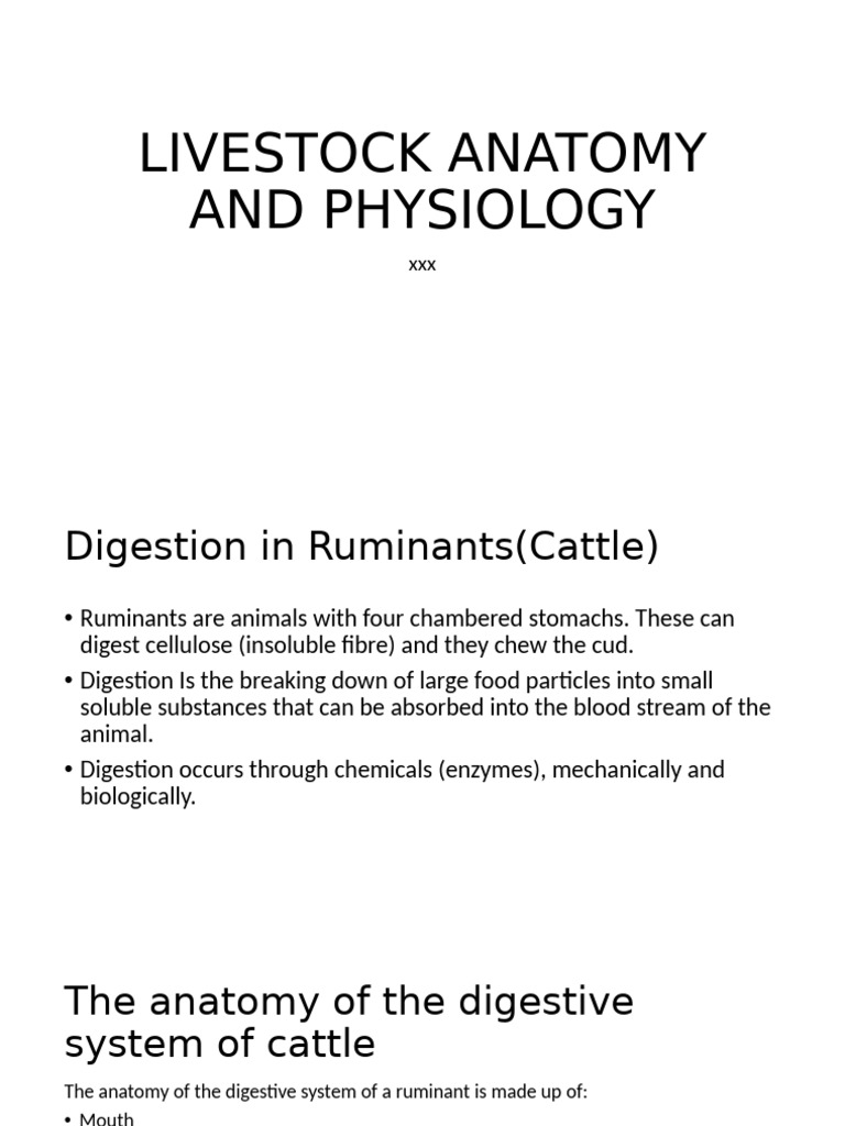 6 and 7. Livestock Anatomy and Physiology, Livestock Production | PDF ...