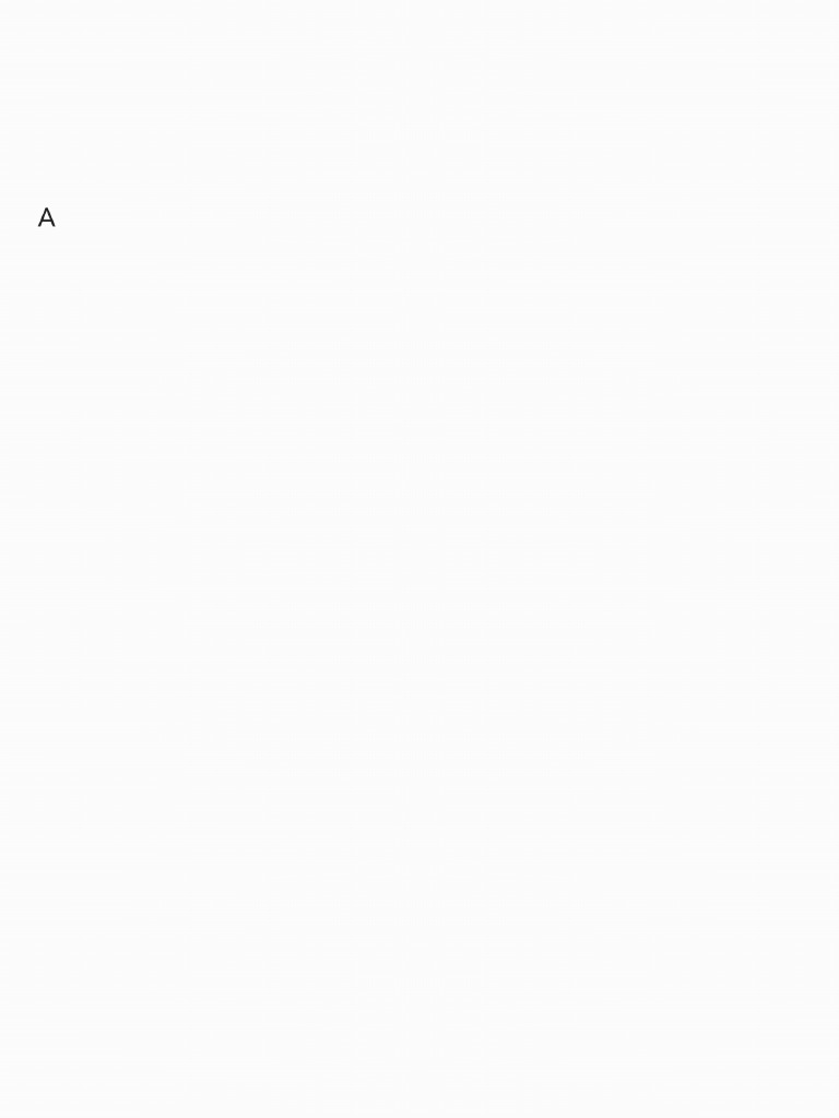 Notes 251006 203511 | PDF