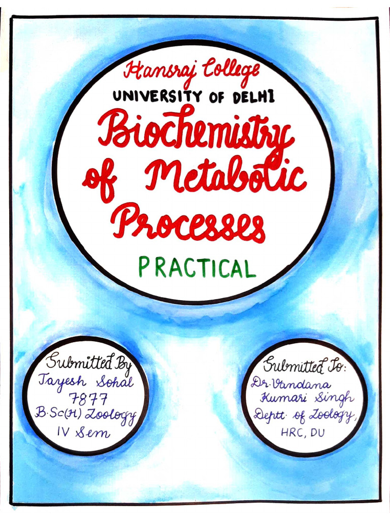 Kreb Cycle Lab Draft CLG | PDF