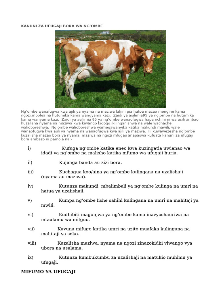 Ufugaji Ng'Ombe | PDF