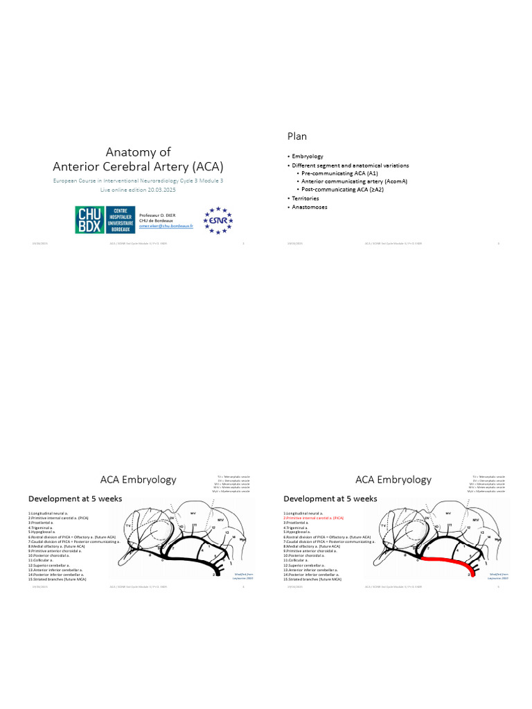 Anterior Cerebral Artery Anatomy Overview | PDF | Anatomical Terms Of ...
