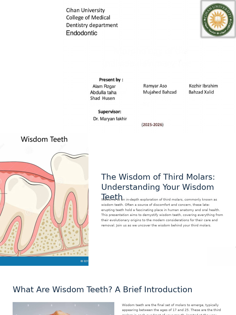 Wisdom Teeth: Care, Issues, and Removal | PDF | Health Sciences | Medicine