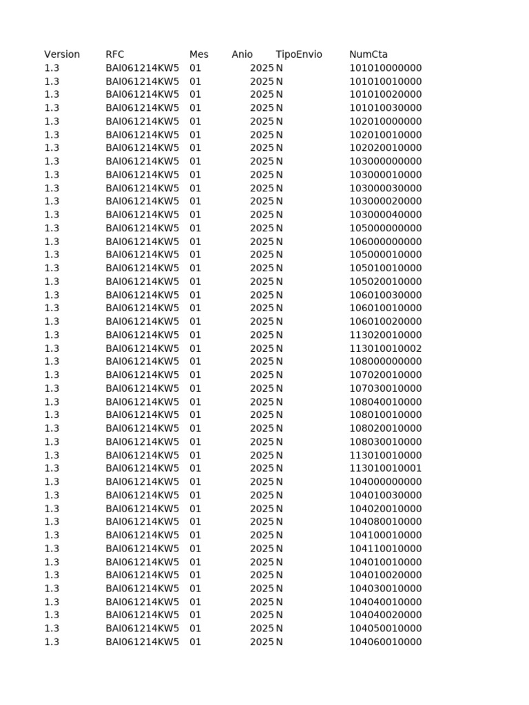 Balanza Excel Enero 2025 | PDF