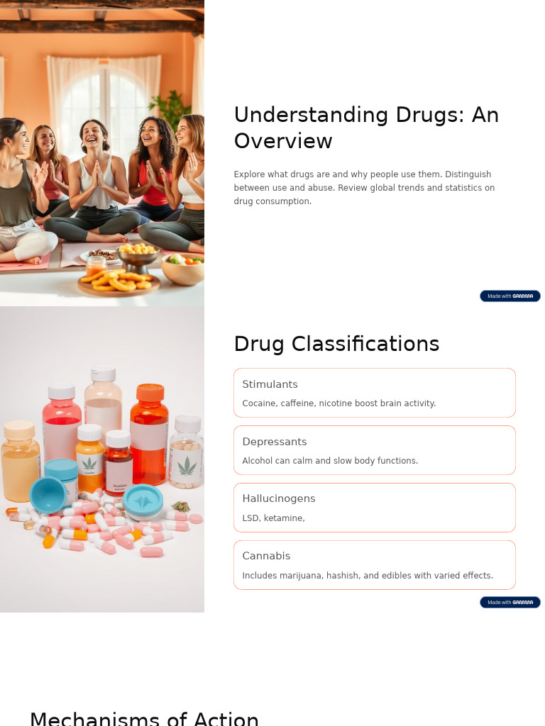 Understanding Drugs: Use, Effects, Risks | PDF | Substance Abuse ...