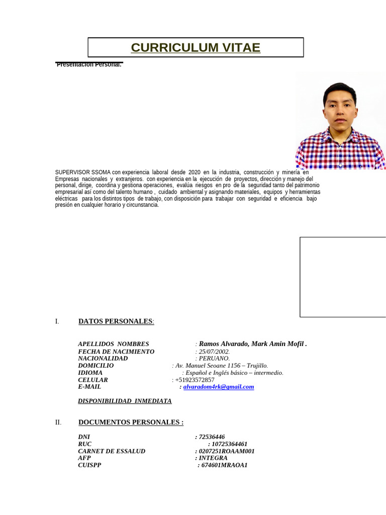 CV Mark Alvarado | PDF | Almacén