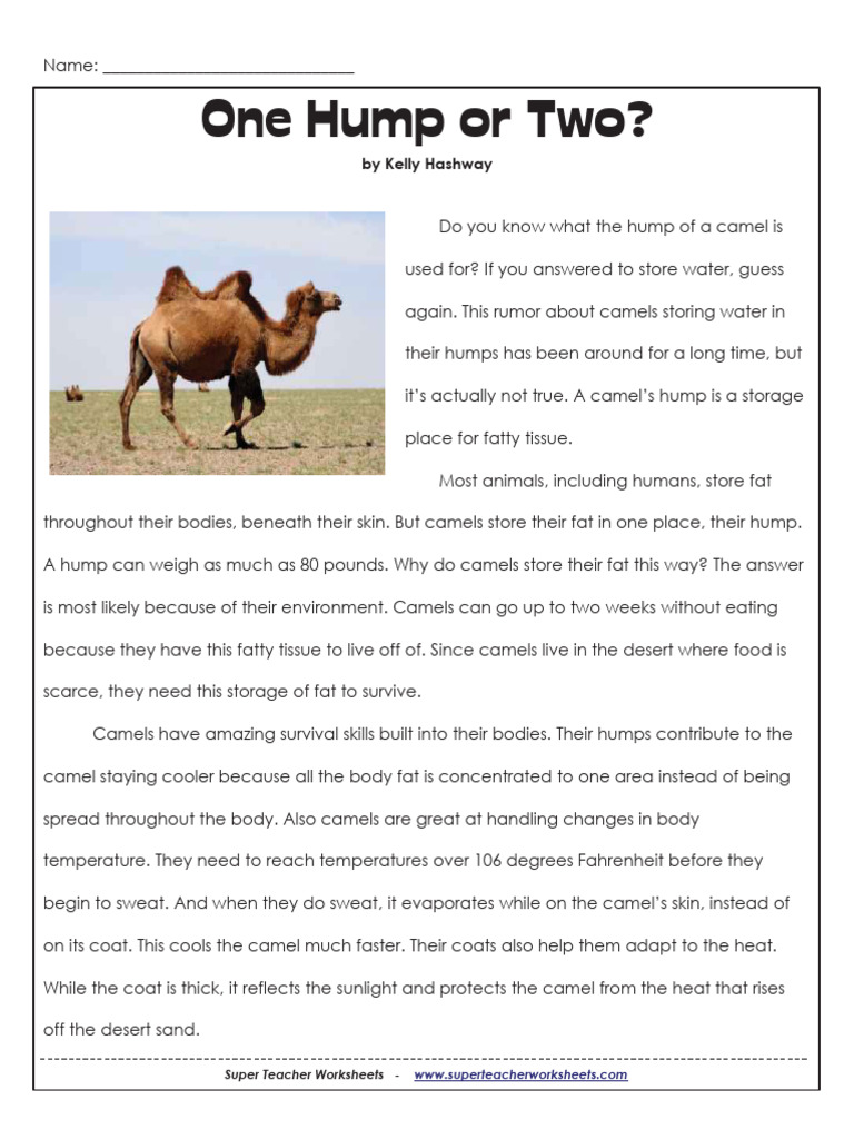Pages From RM - Dl.reading Comprehension Grade 3-2 | PDF