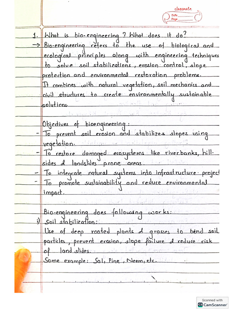 Bio Engineering Assignment | PDF