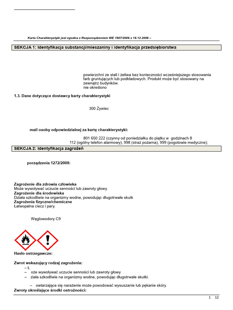 KCH-STYLINE-Anti-Corrosive-Enamel-wyd.-2.doc | PDF