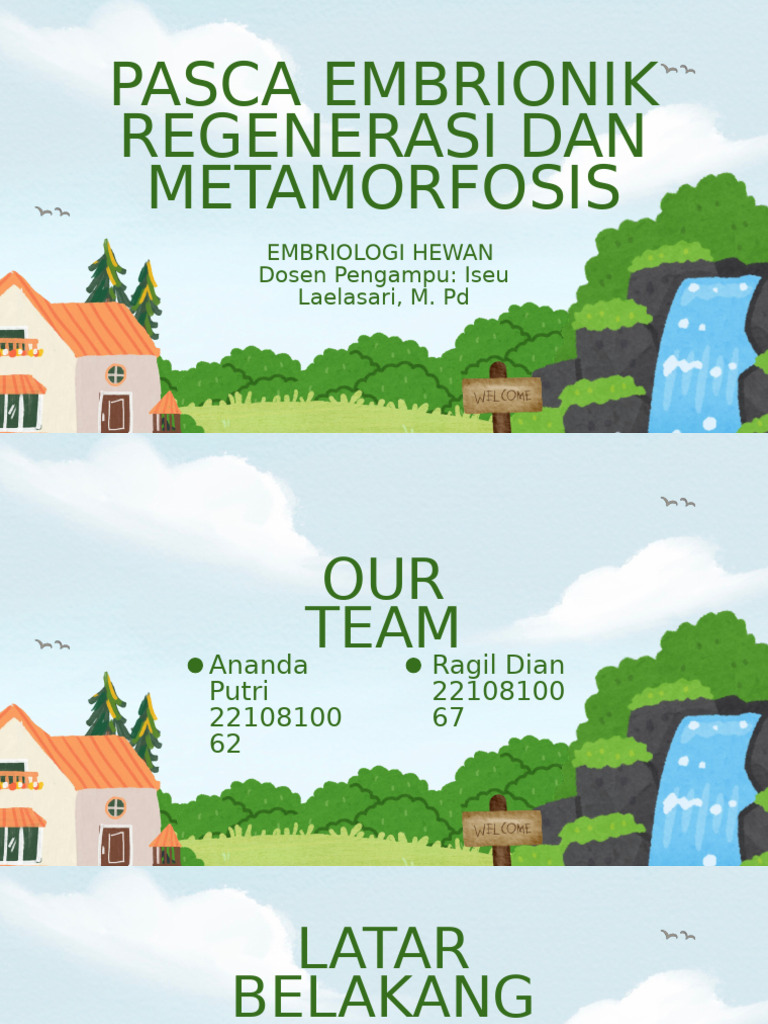 Regenerasi & Metamorfosis Fikss | PDF