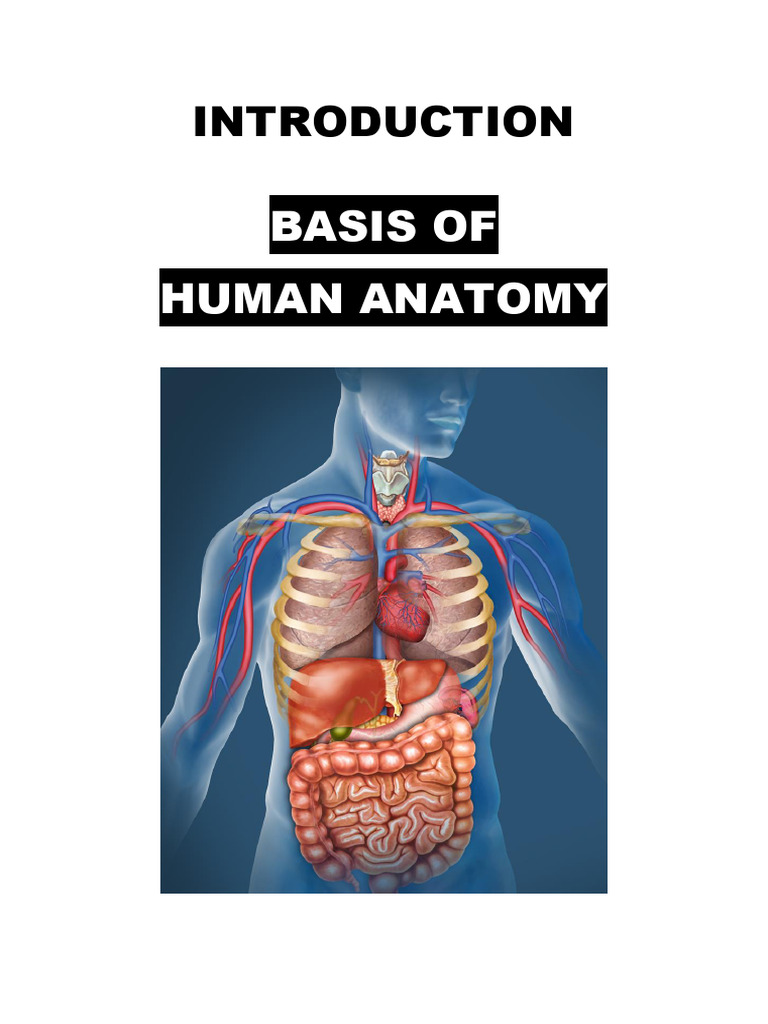 Overview of Human Anatomy Components | PDF | Skin | Joint
