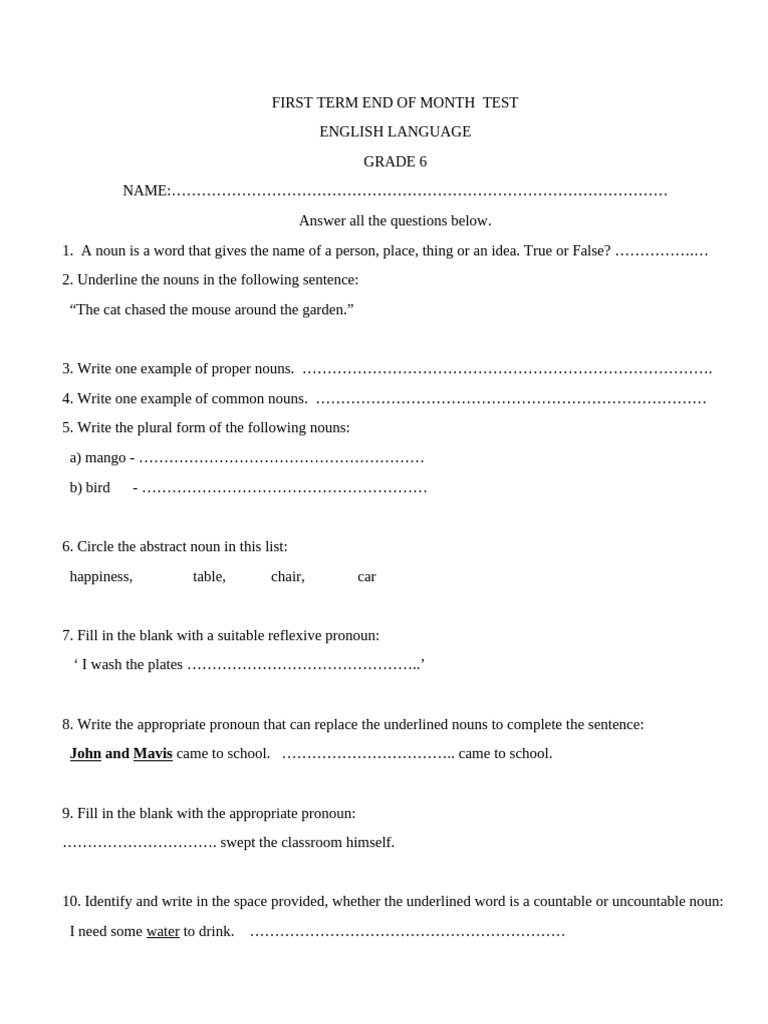 Grade 6 English Noun Test | PDF