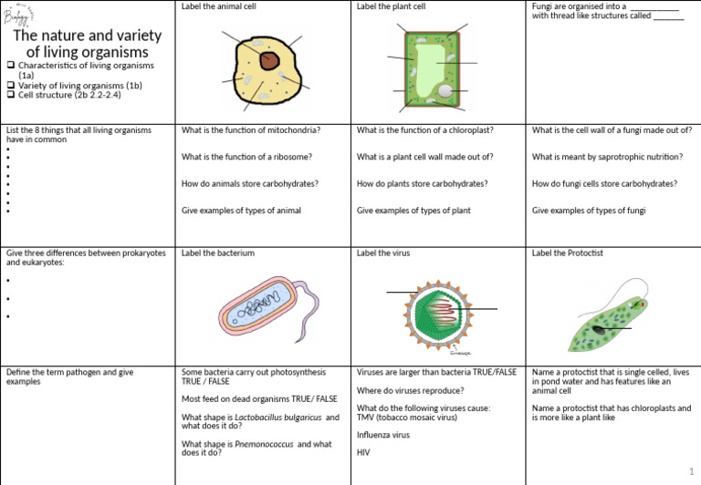 IGCSE Biology Nature and Varierty of Living Organisms Revision Grid ...