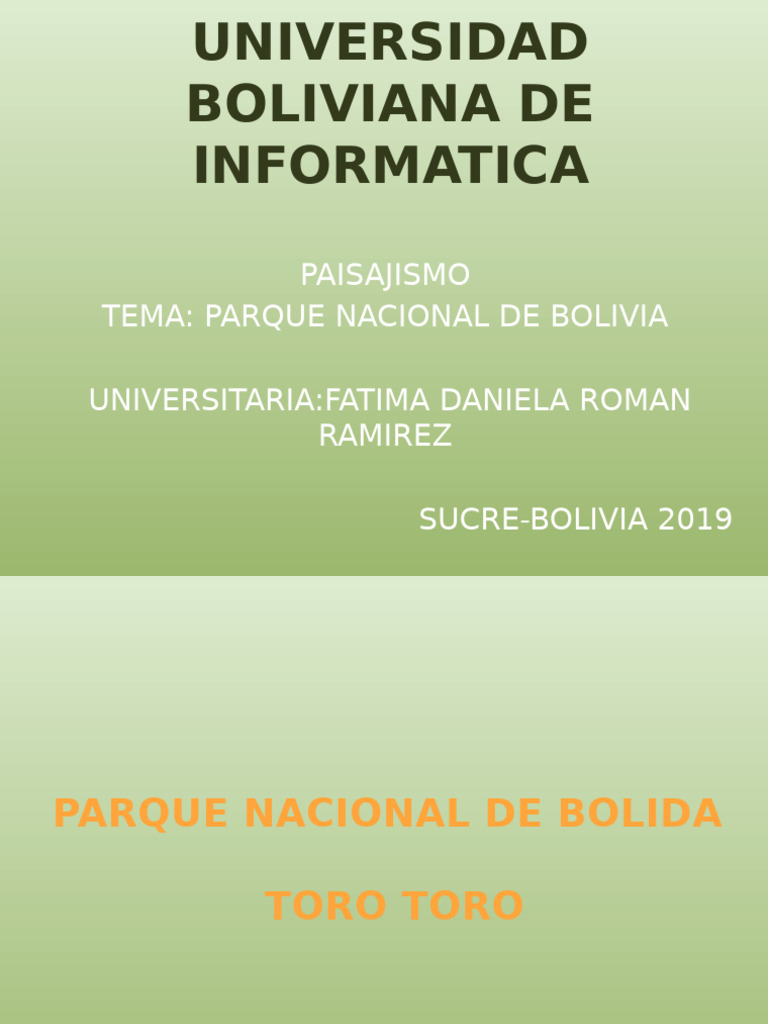 Parque Nacional Toro Toro en Bolivia | PDF