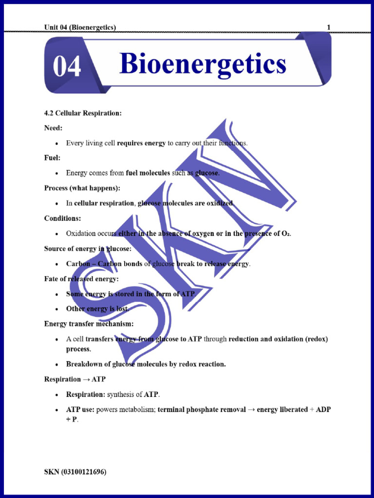 Cellular Respiration (Bioenergetics) Notes Plus MCQs | PDF