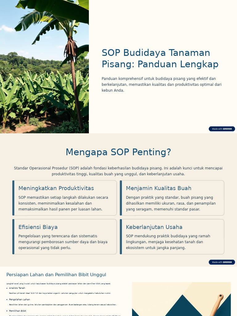 SOP Budidaya Tanaman Pisang Efektif | PDF