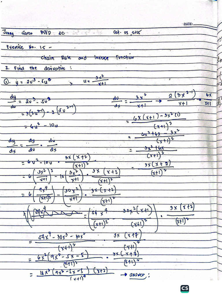 Chain Rule and Inverse Function | PDF