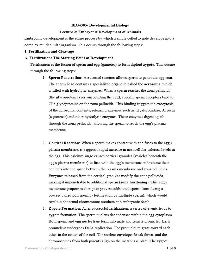 L2 - Embryonic Development of Animals | PDF | Fertilisation | Biology
