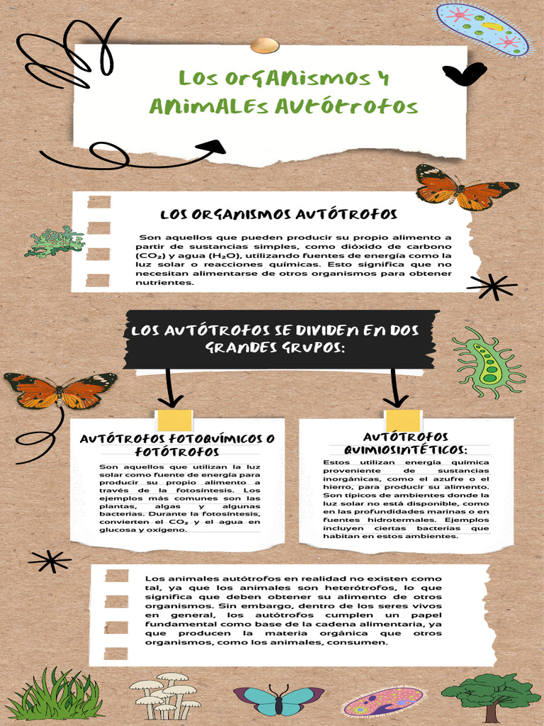 Organismos Autótrofos y Ejemplos | PDF
