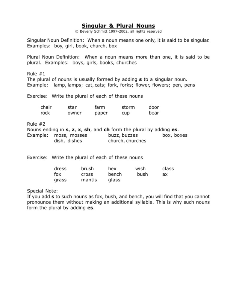 Singular and Plural Noun Rules | PDF | Plural