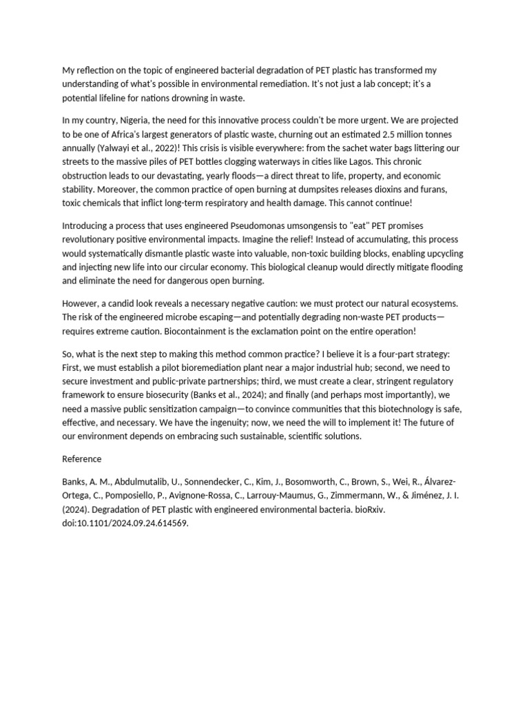 My Reflection O-WPS Office | PDF | Plastic | Waste