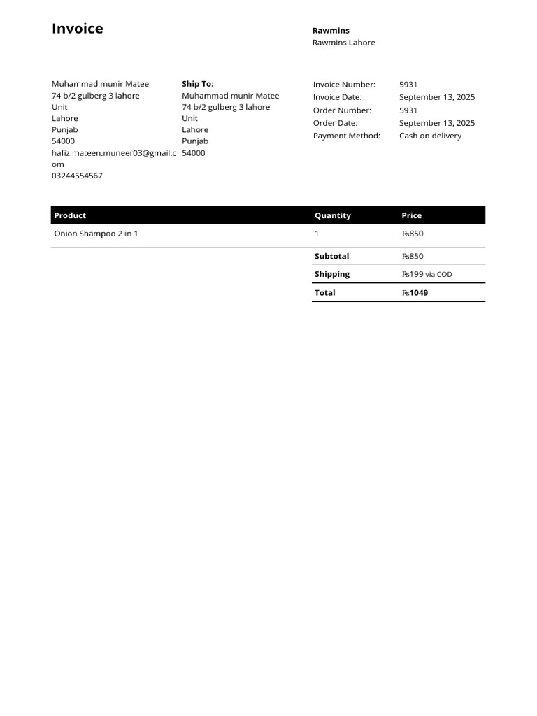 invoices-2025-09-13 | PDF | Services (Economics) | Accounting