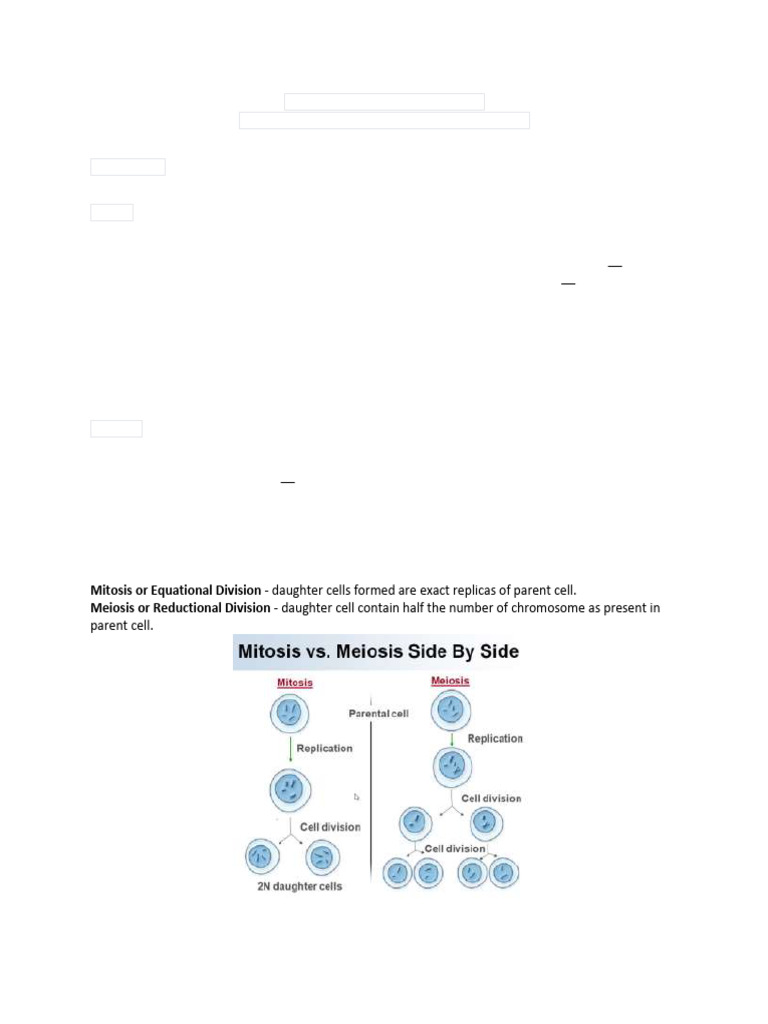 BIOLOGY_9_CELL_DIVISION | PDF | Mitosis | Meiosis