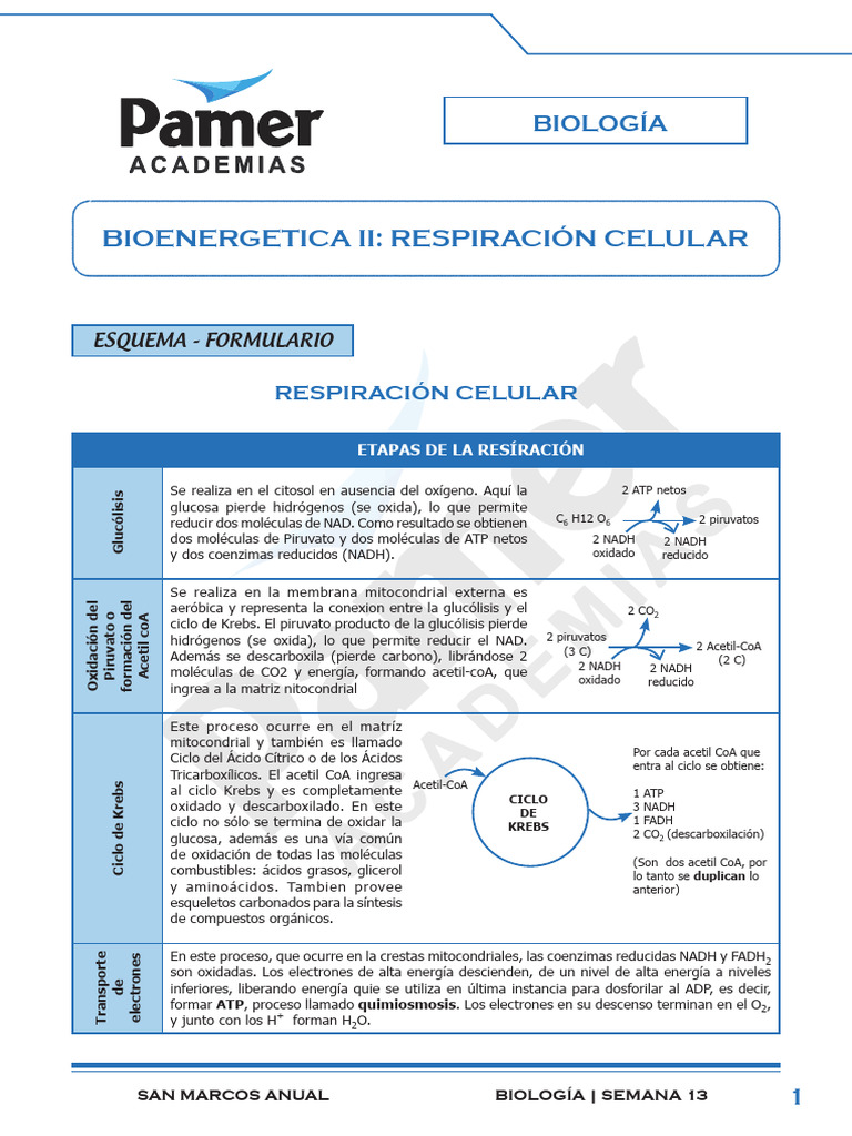BIOLOGIA CSem13 | PDF | Respiración celular | Dieta y nutrición