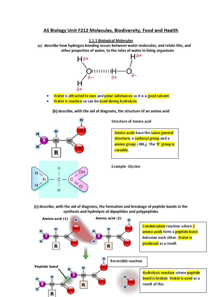 AS Biology F212: Molecules & Structures | PDF | Dna | Low Density ...