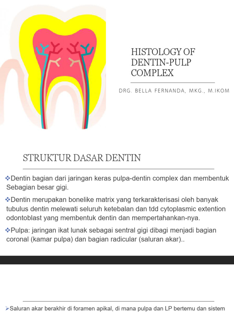 Histology of Dentin-Pulp Complex | PDF