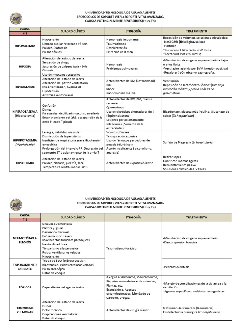 CAUSAS DE PARO H's y T's | PDF | Medicina | Enfermedades y trastornos