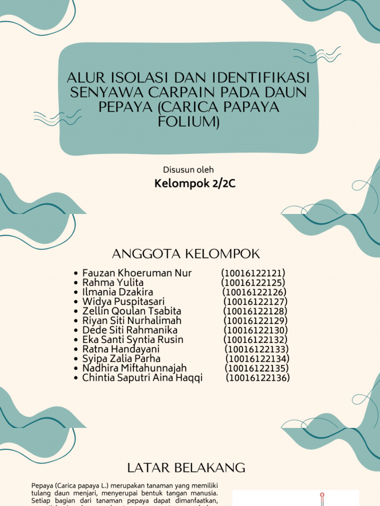 2C Kel 2 Fitokimia | PDF