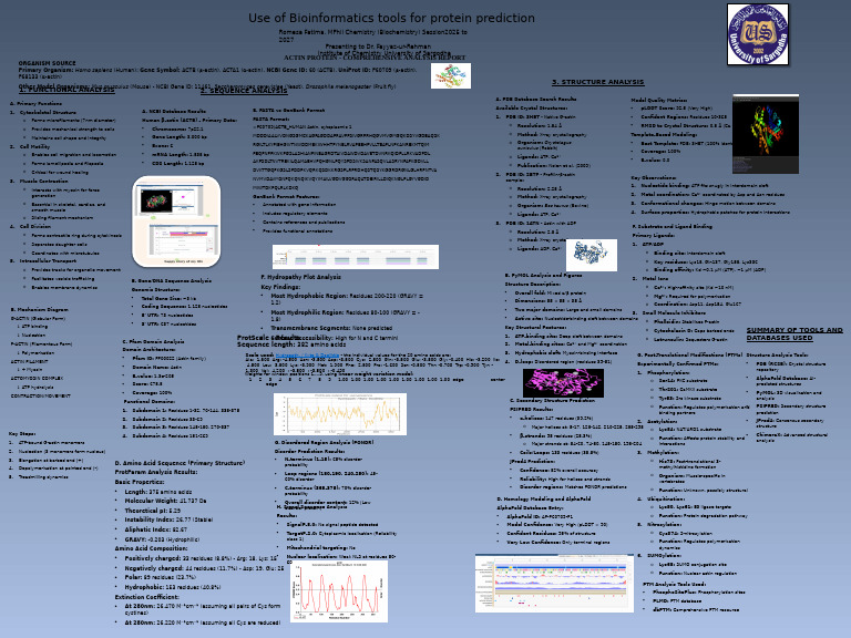 Bioinformatics in Actin Protein Analysis | PDF | Actin | Protein Domain