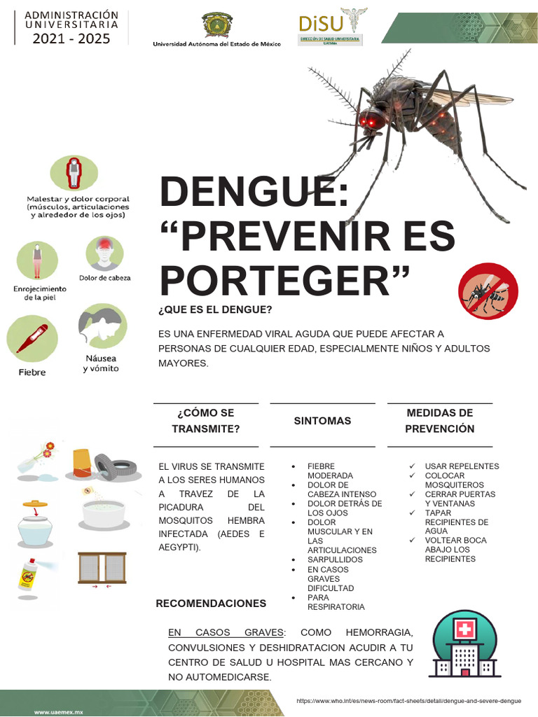 Infografia Dengue | PDF