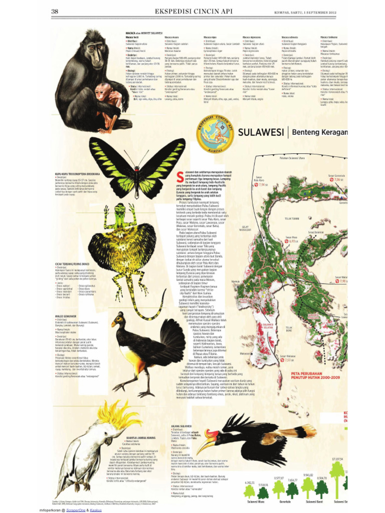 Burung Sulawesi | PDF