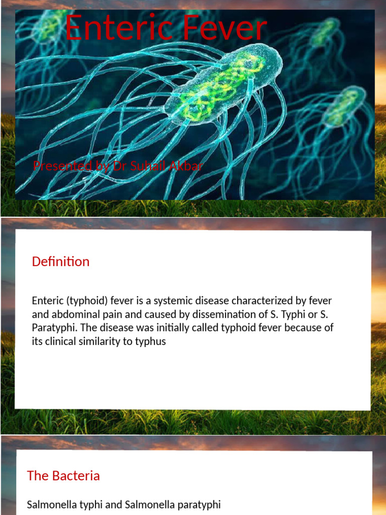 Enteric Fever | PDF