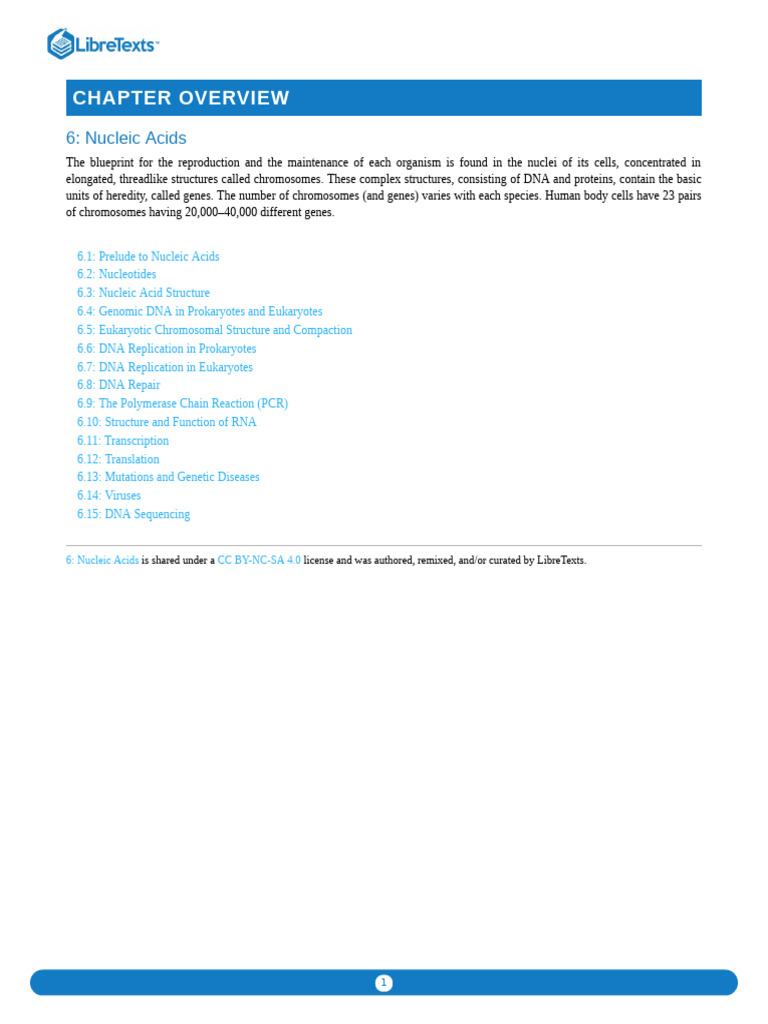 Nucleic Acids: Structure and Function | PDF | Dna Replication | Dna