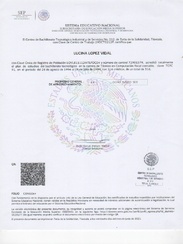 Ceb1 | PDF