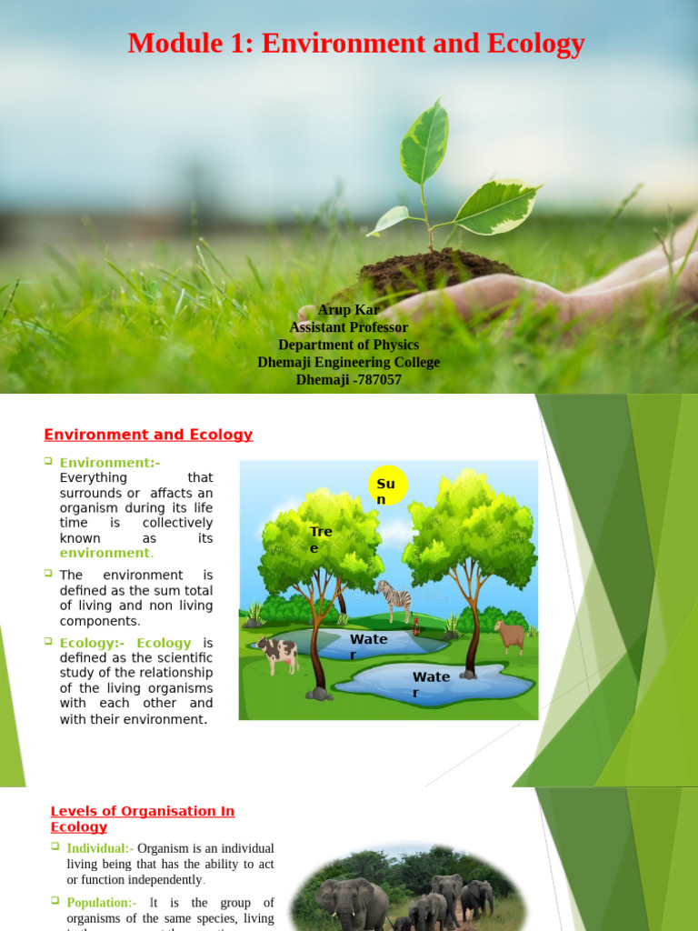 Environment and Ecology | PDF | Food Web | Ecosystem