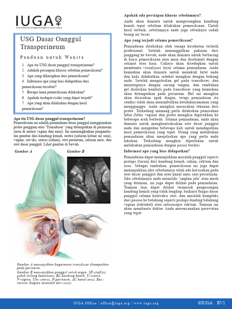 Panduan USG Panggul Transperineum | PDF