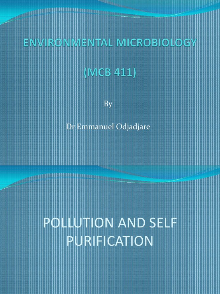 Pollution and Self - Purification | PDF | Water Pollution | Water ...