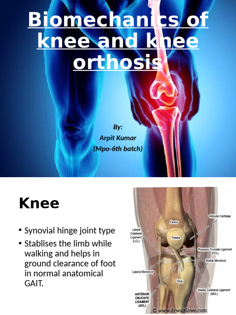 Biomechanics of Knee and Knee Orthosis | PDF | Knee | Anatomical Terms ...
