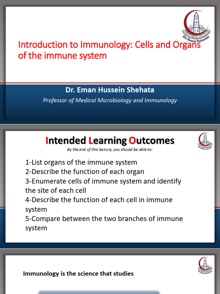 Overview of Immune System Organs | PDF | Lymphatic System | Lymphocyte